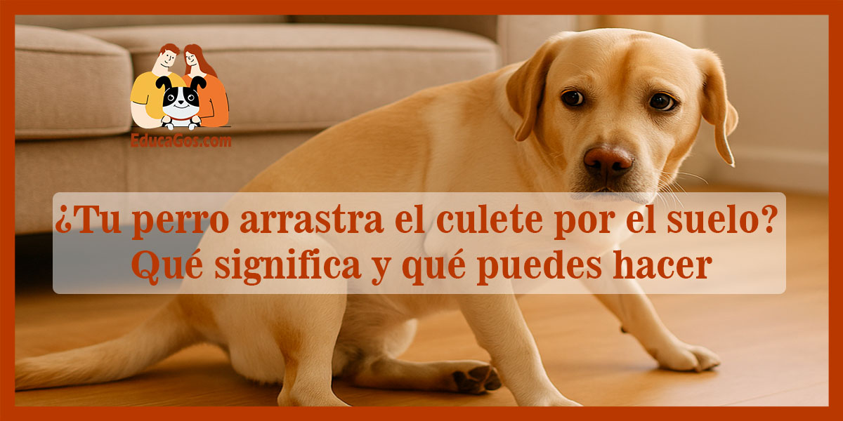 ¿Tu Perro Arrastra El Culete Por El Suelo? | EducaGos